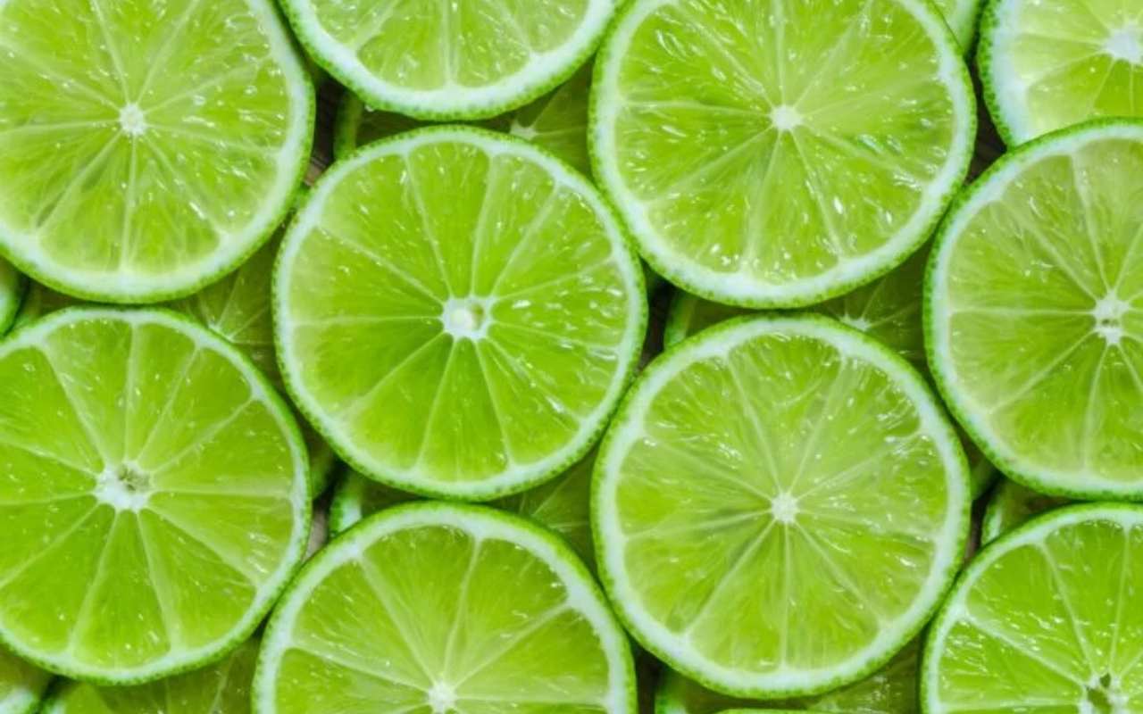 Limeta | Recepti i značaj limete u ishrani | To Sam Ja