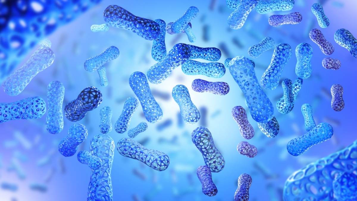 Vrste probiotika | Čemu služi probiotik | To Sam Ja